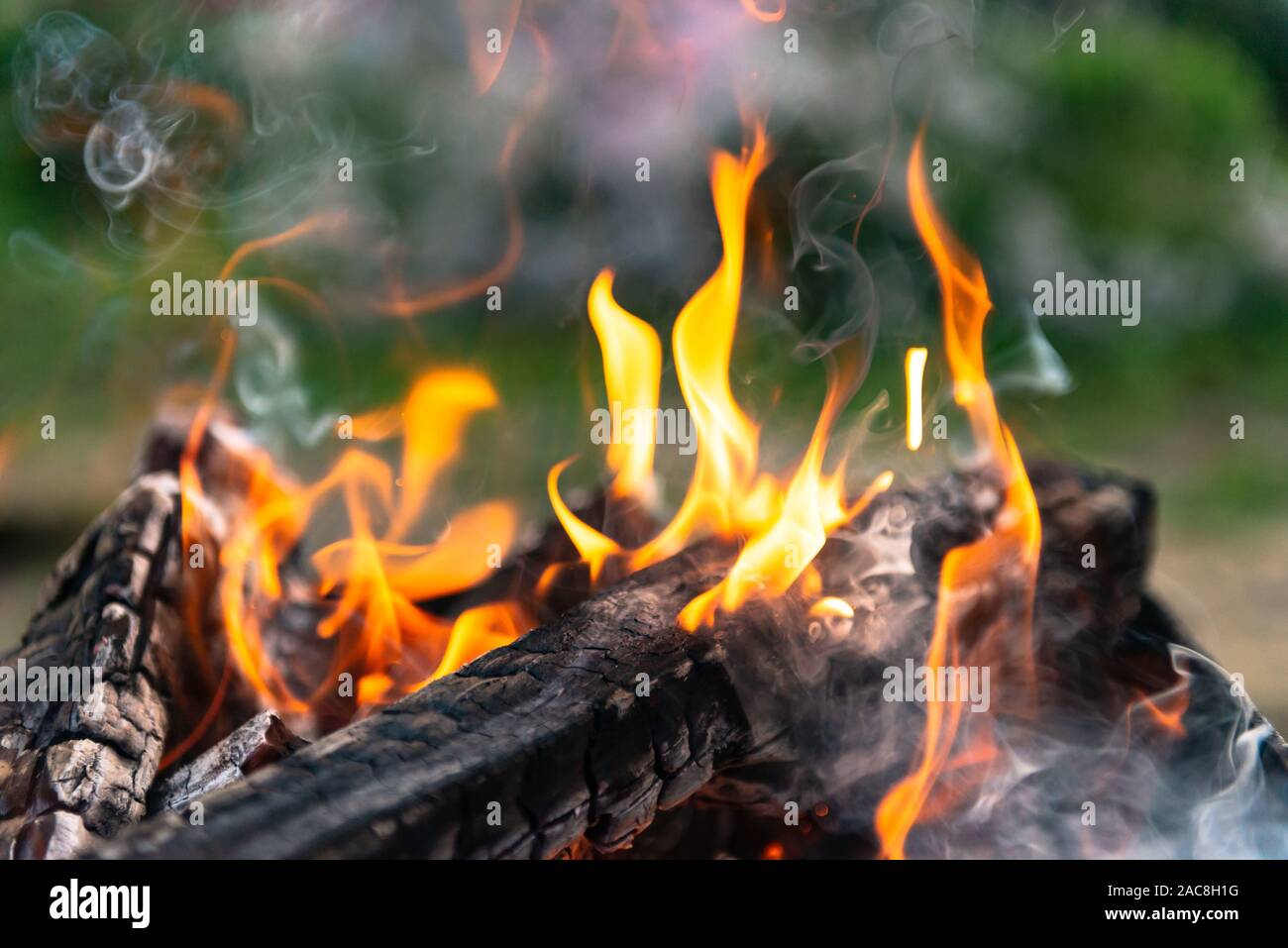 Burning fire. Flames with smoke rise up. Burning wood at close range ...