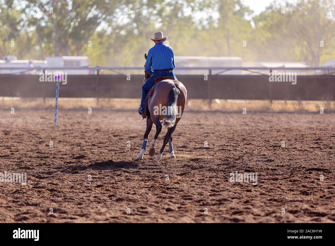 A horse and cowboy competing in a camp draft event in the dusty arena ...