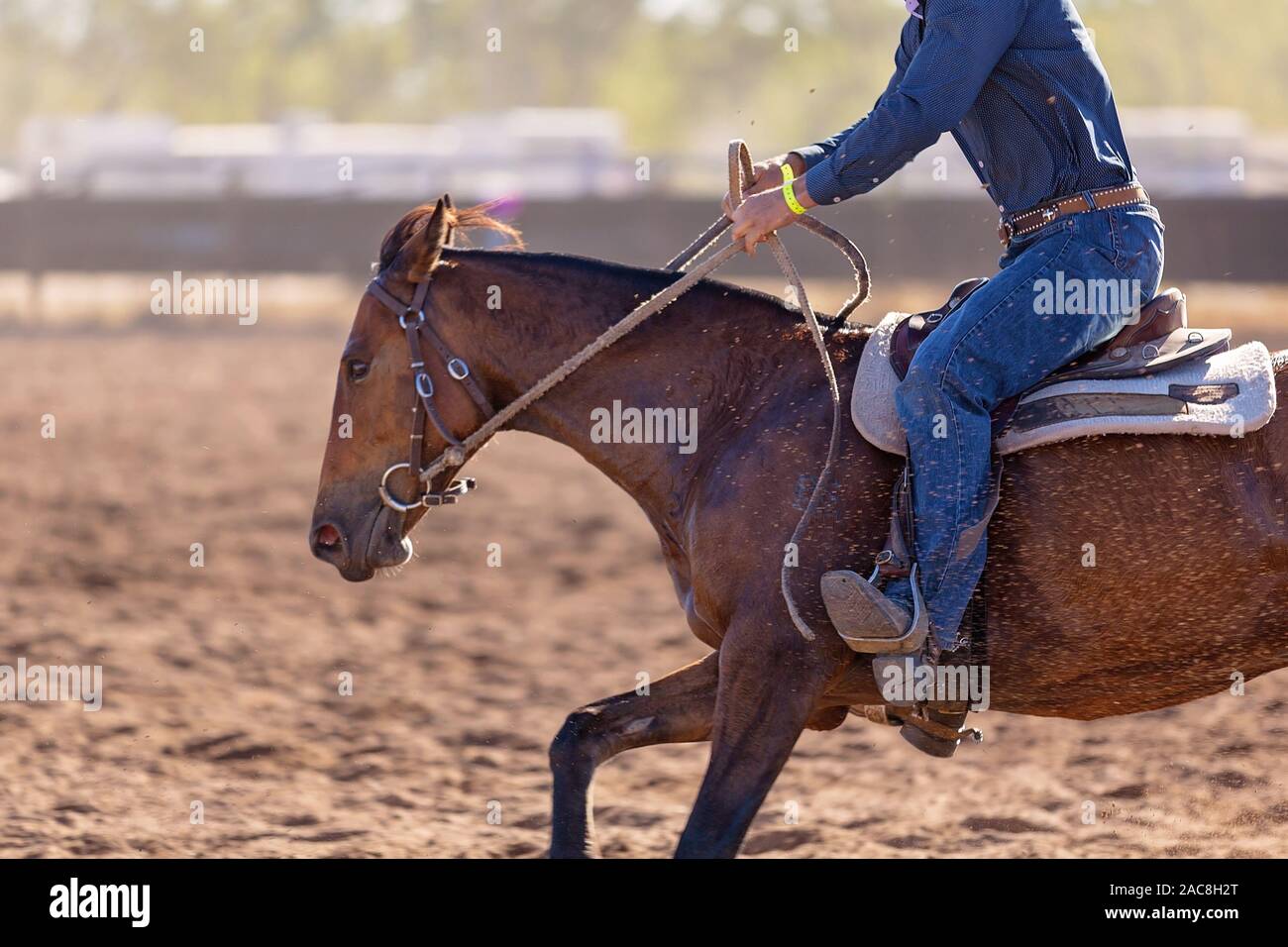 Close up of a horse and cowboy competing in a camp draft event in the ...