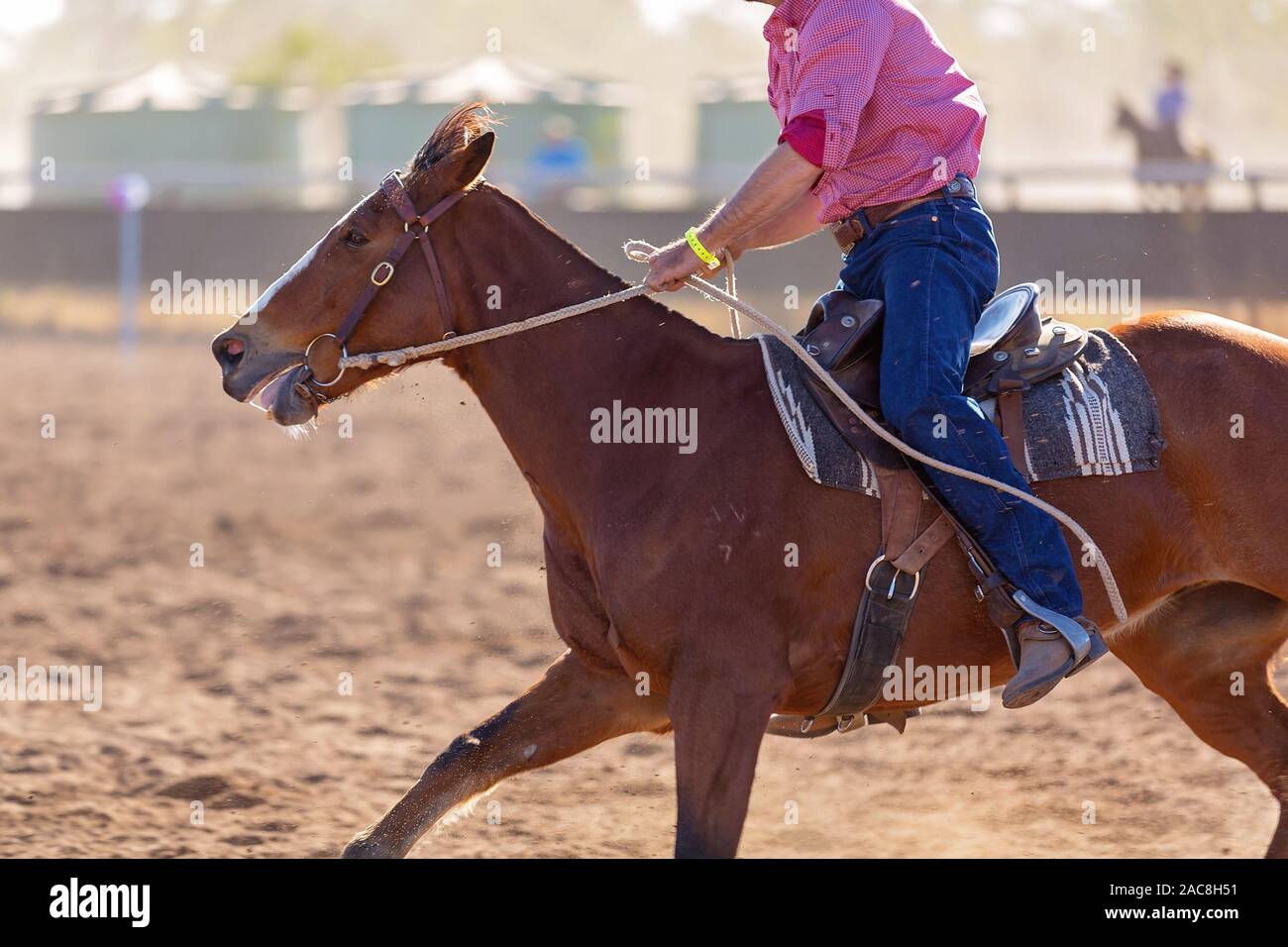 Close up of a horse and cowboy competing in a camp draft event in the ...