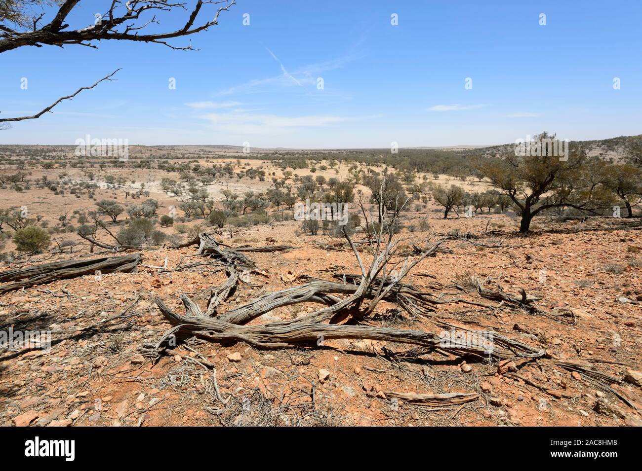 View of the arid landscape in Sturt National Park, near Tibooburra, New ...