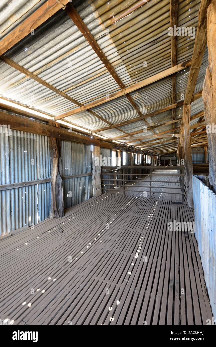Inside the historic Mount Wood Woolshed, built in 1913, near the remote ...