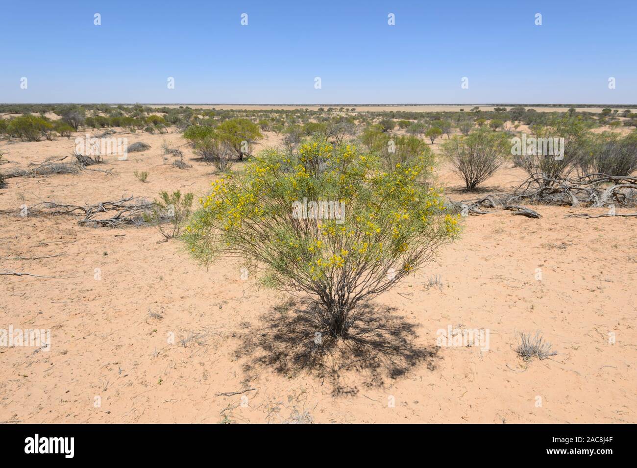Arid landscape australia hi-res stock photography and images - Alamy