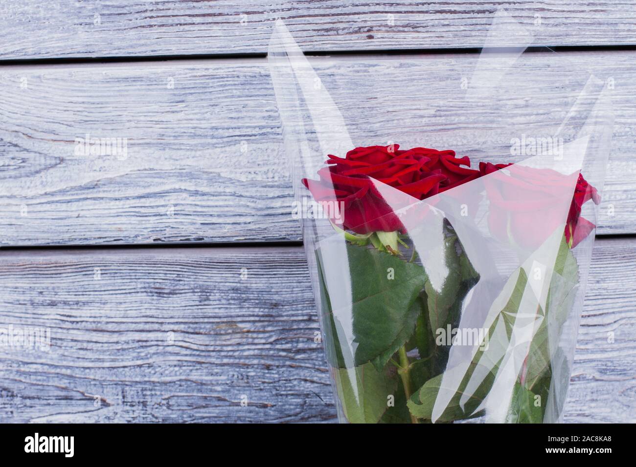 Red roses wrapped in transparent package Stock Photo - Alamy