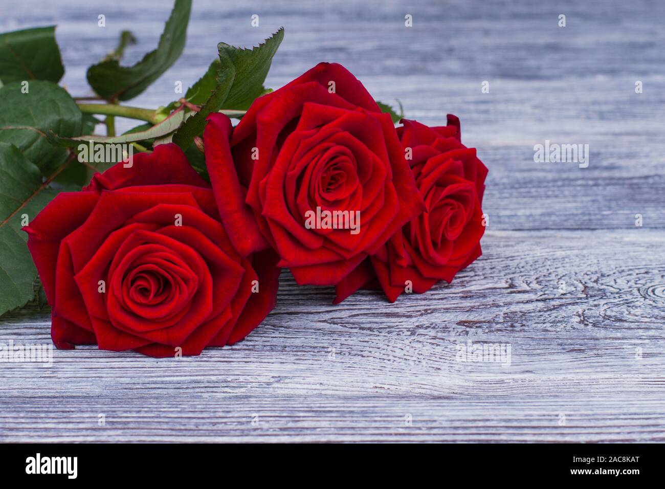 Romantic background with red rose flowers Stock Photo - Alamy