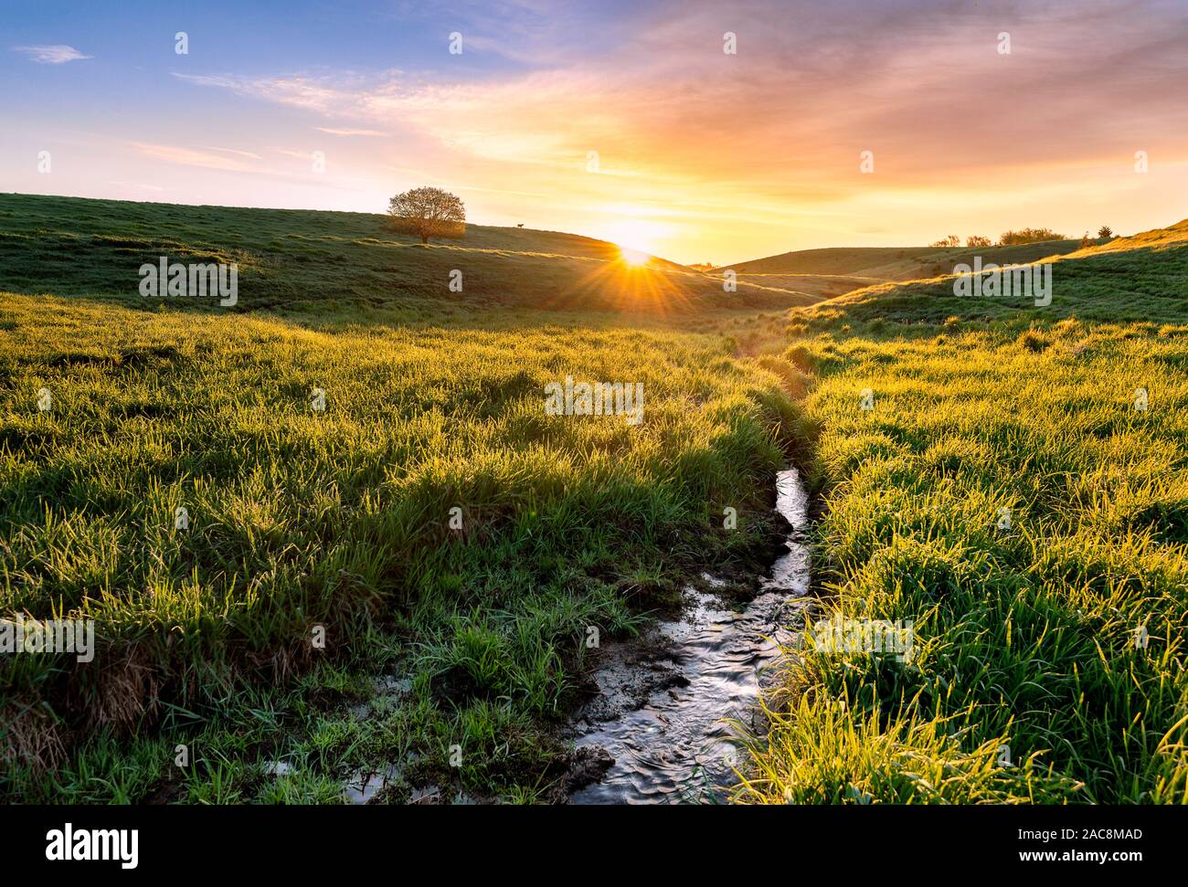 Open plain hi-res stock photography and images - Alamy
