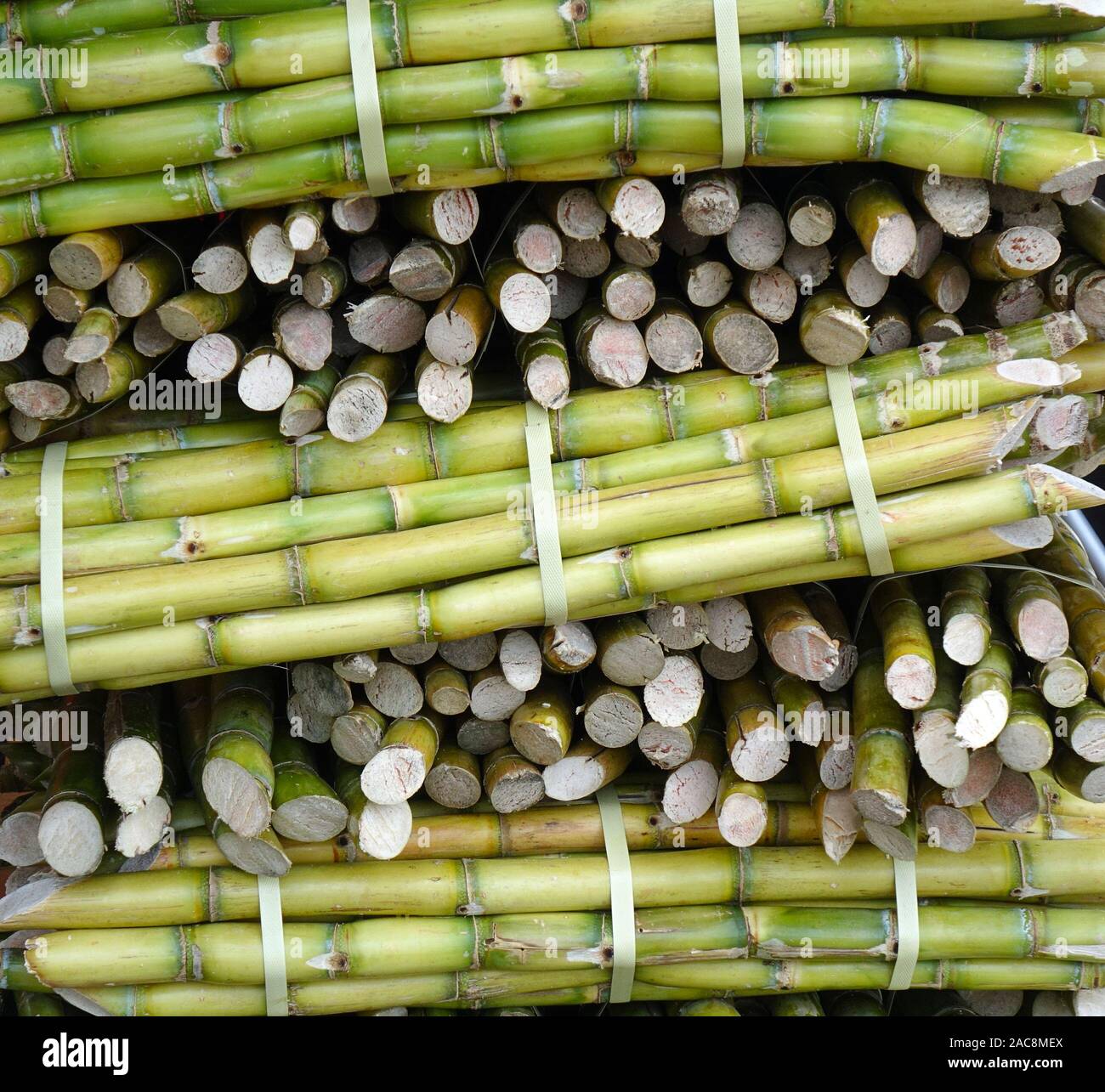 Sugar cane bundle hi-res stock photography and images - Alamy