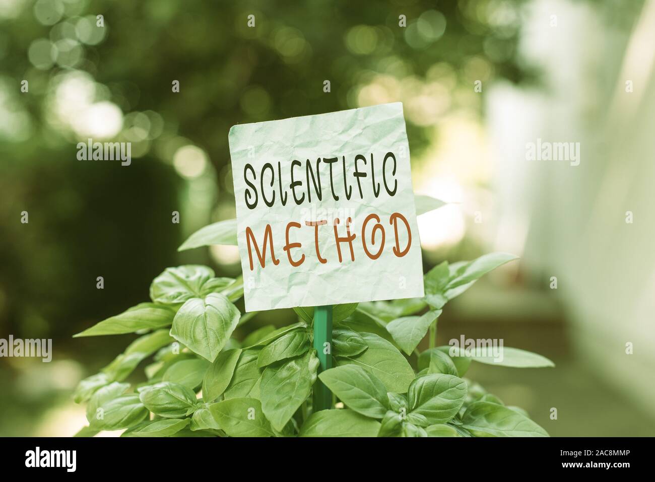 Word writing text Scientific Method. Business photo showcasing method ...