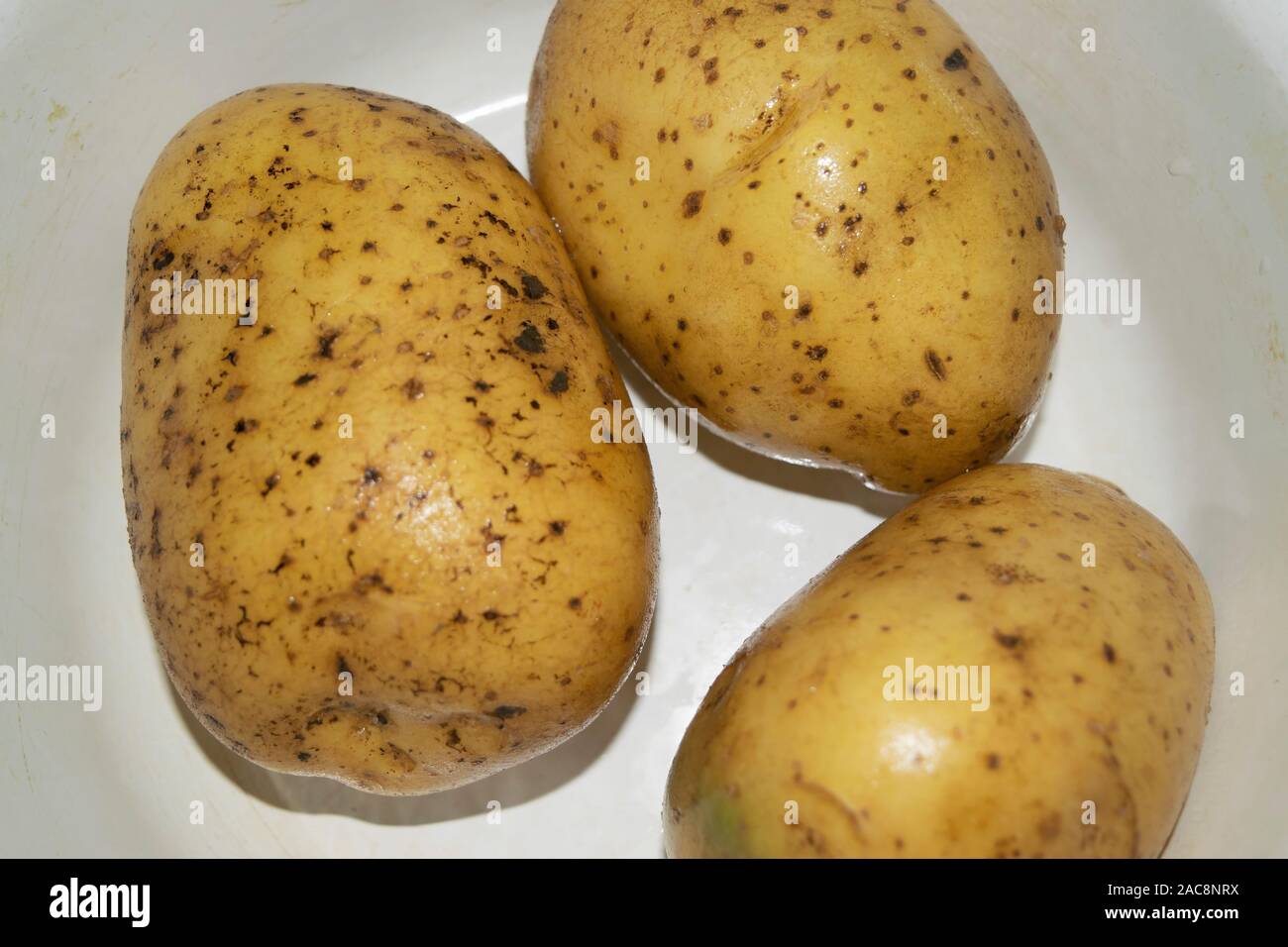 Three unpeeled washed potatoes in a white plate. Home cooking. Close up ...