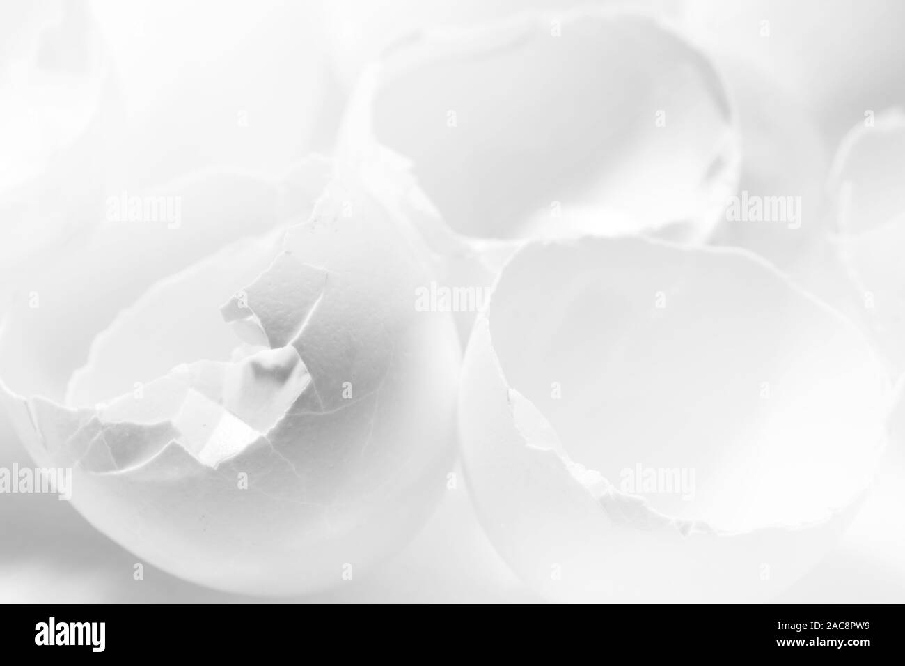 Broken egg shells Black and White Stock Photos & Images - Alamy