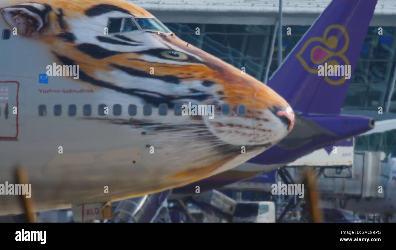 Tiger livery hi-res stock photography and images - Alamy