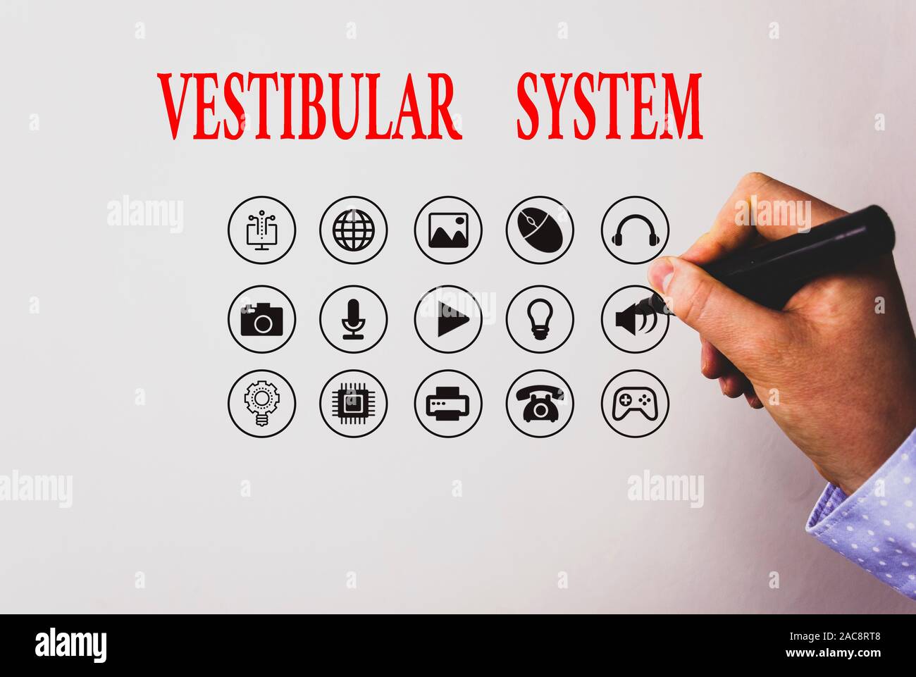 Text sign showing Vestibular System. Business photo text provides the ...