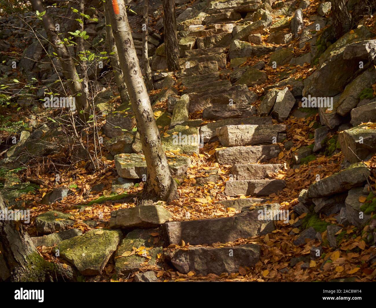 Thousand steps hi-res stock photography and images - Alamy