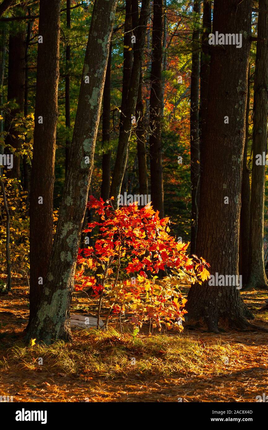 Tangential Lighting High Resolution Stock Photography and Images - Alamy