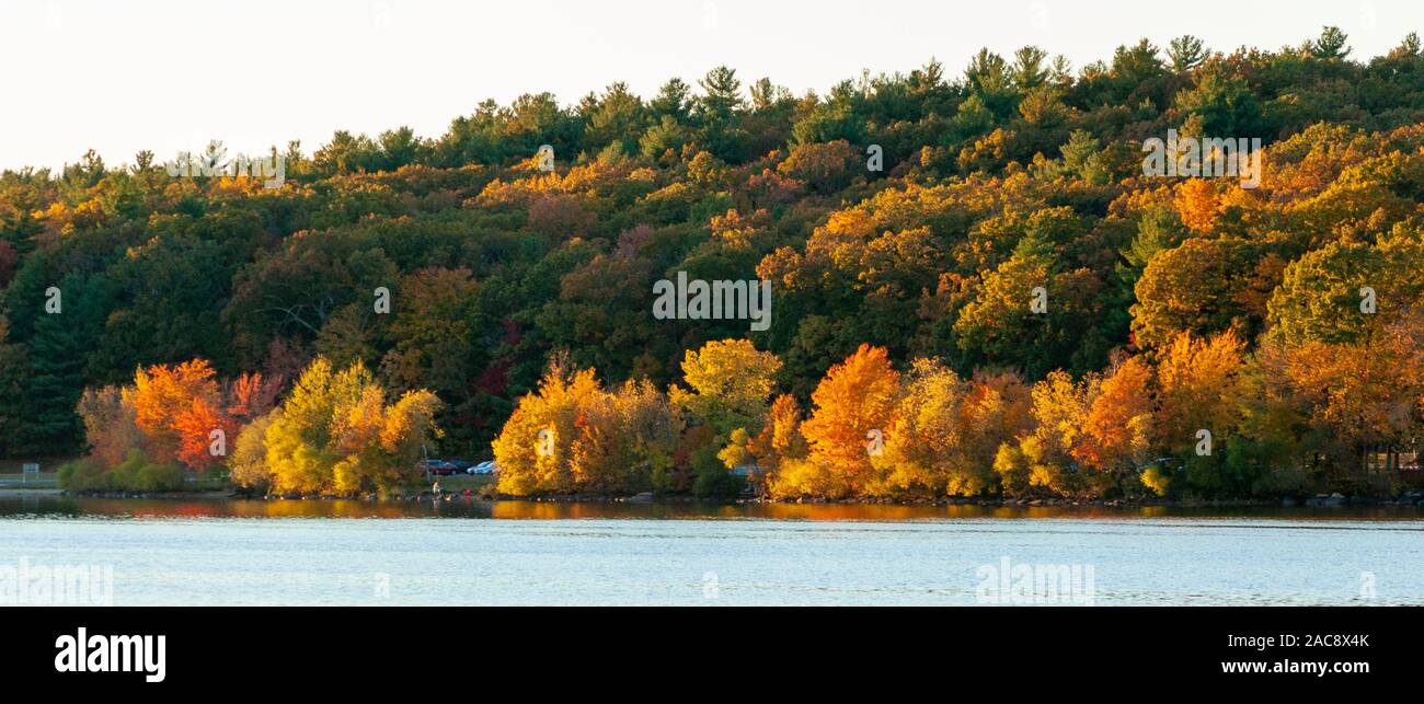 Vibrant fall colors of a northeastern mixed forest along the Hopkinton ...