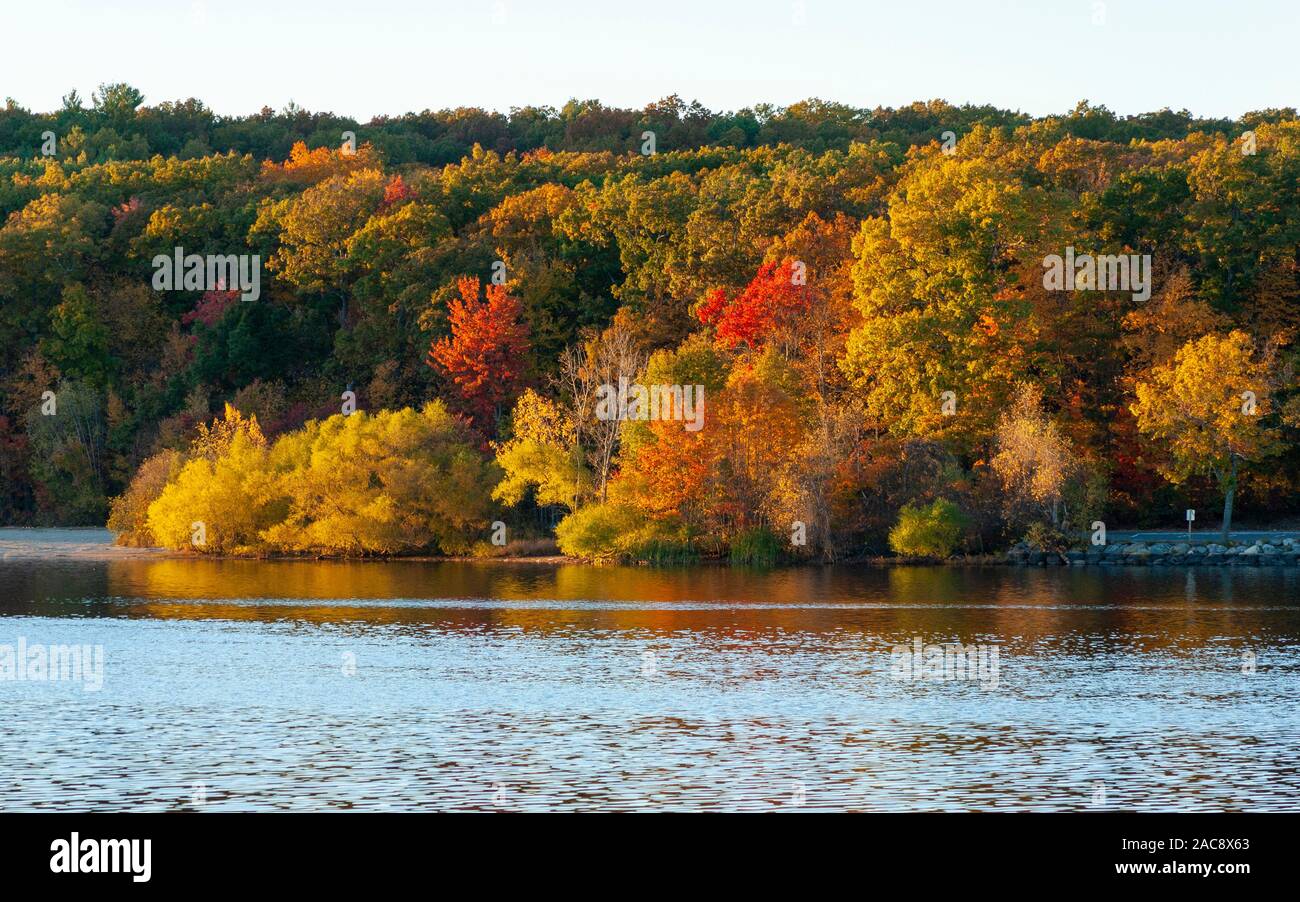 Vibrant fall colors of a northeastern mixed forest along the Hopkinton ...