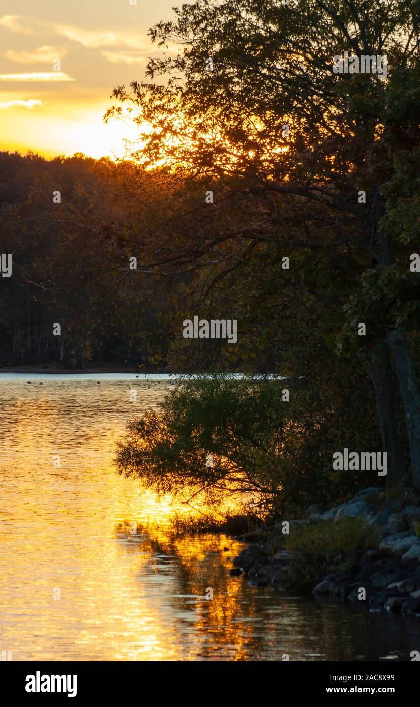 Colorful sunset over Hopkinton Reservoir. Golden sun glowing through a ...