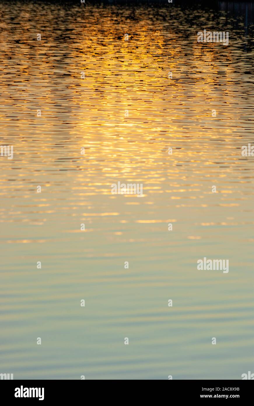 Rippled lake surface on a warm sunset light. Abstract background ...
