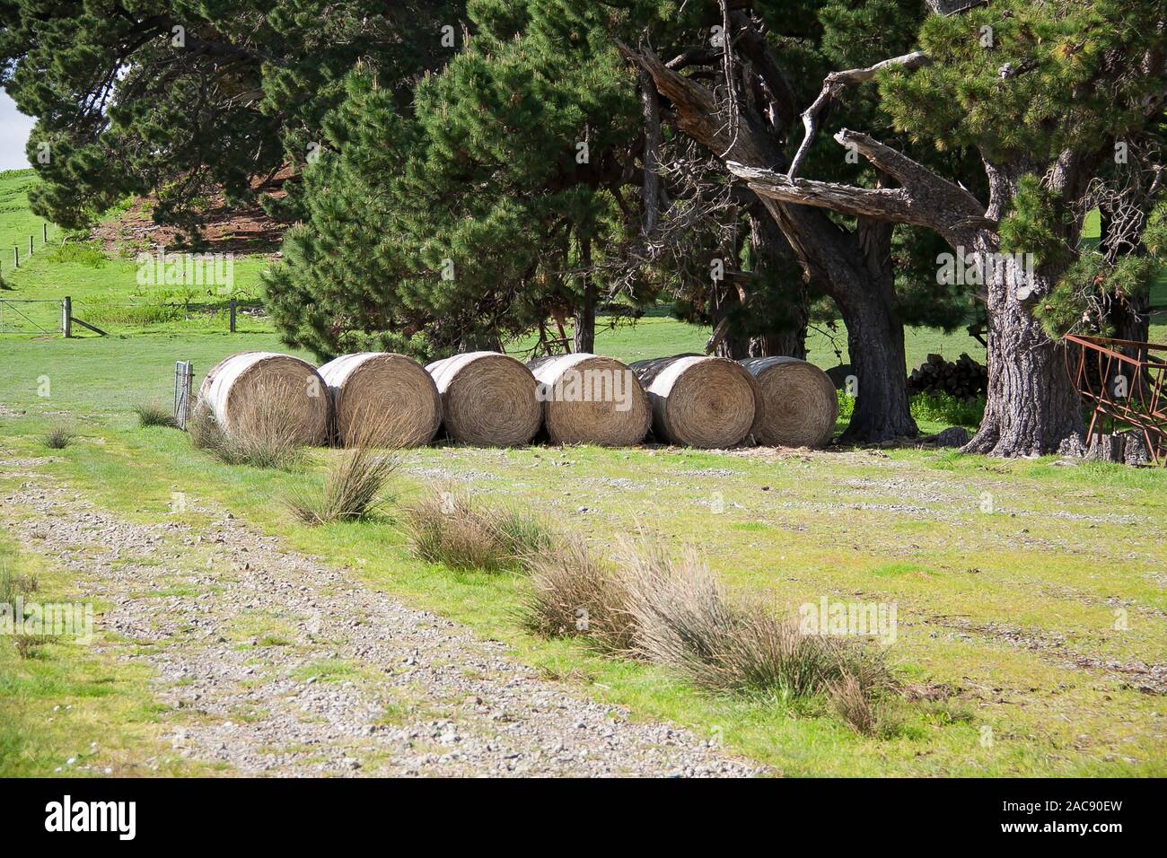 Row of hay hi-res stock photography and images - Alamy
