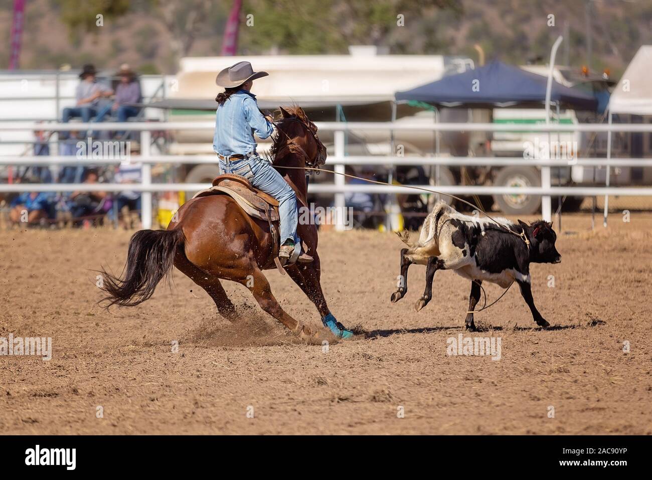 A cowgirl competing in a calf roping event at a country rodeo Stock ...