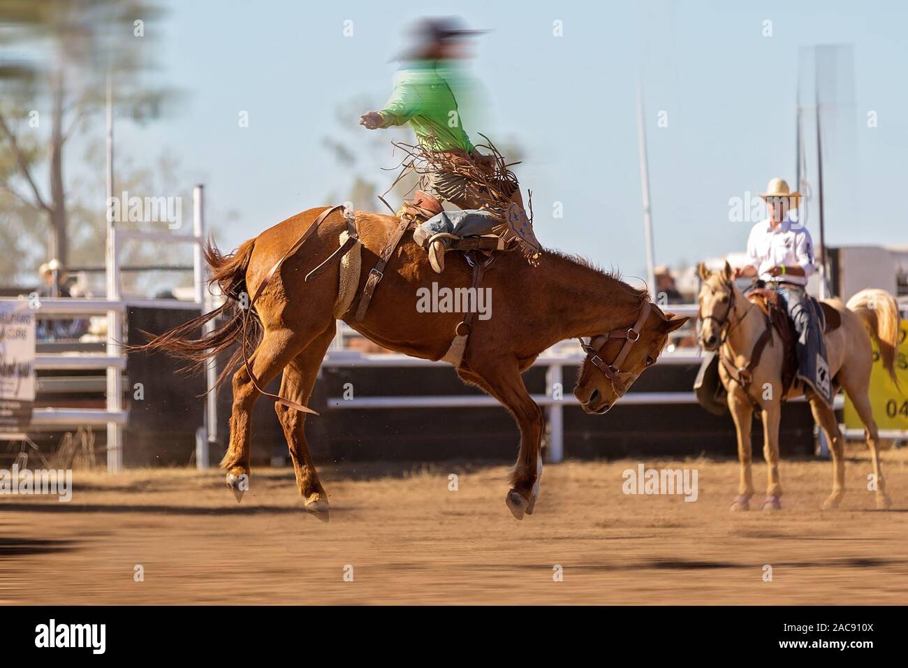 Cowboy riding a bucking bronco horse in a competition at a country ...