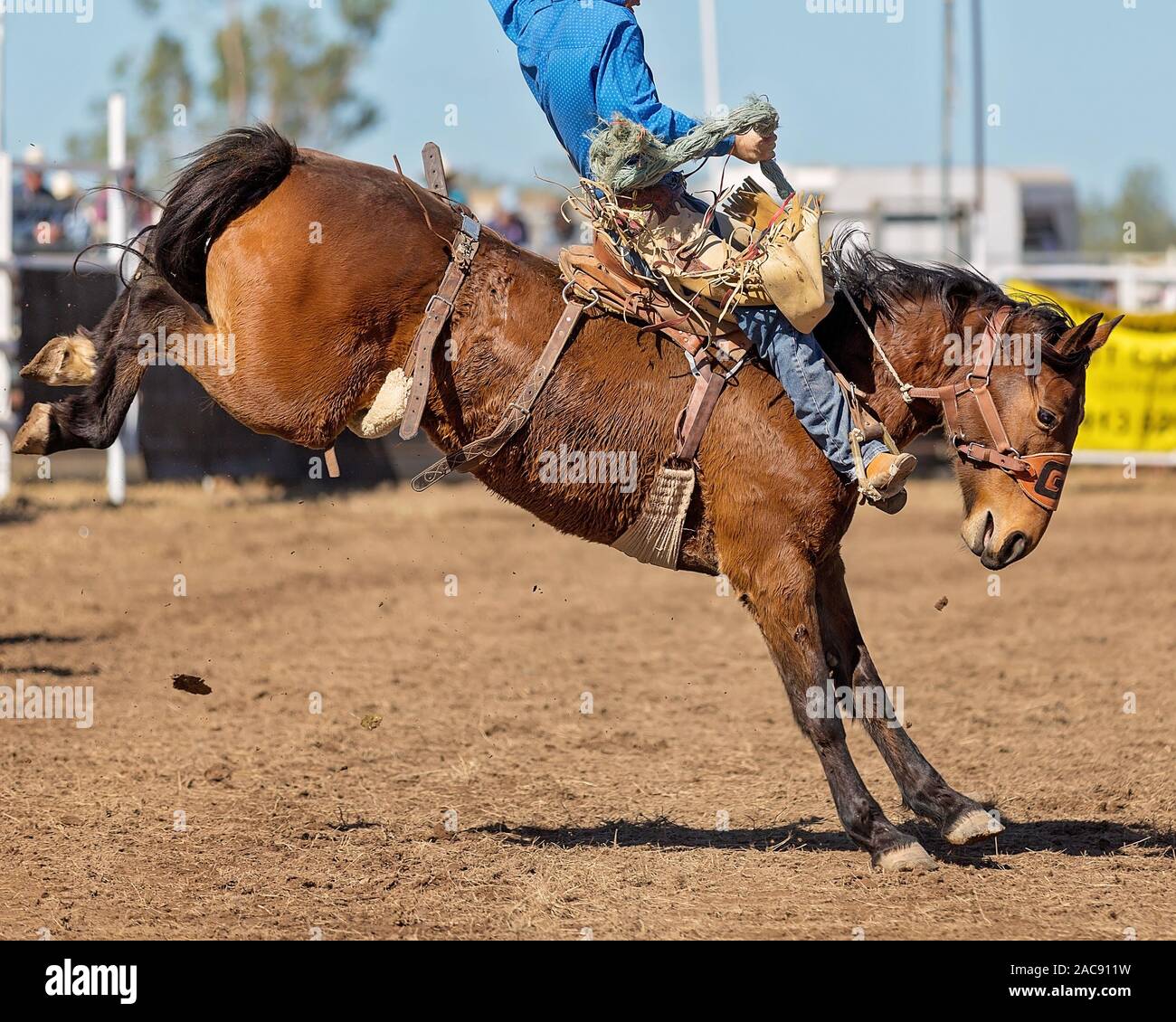 A cowboy riding a bucking bronco horse in a competition at a country ...