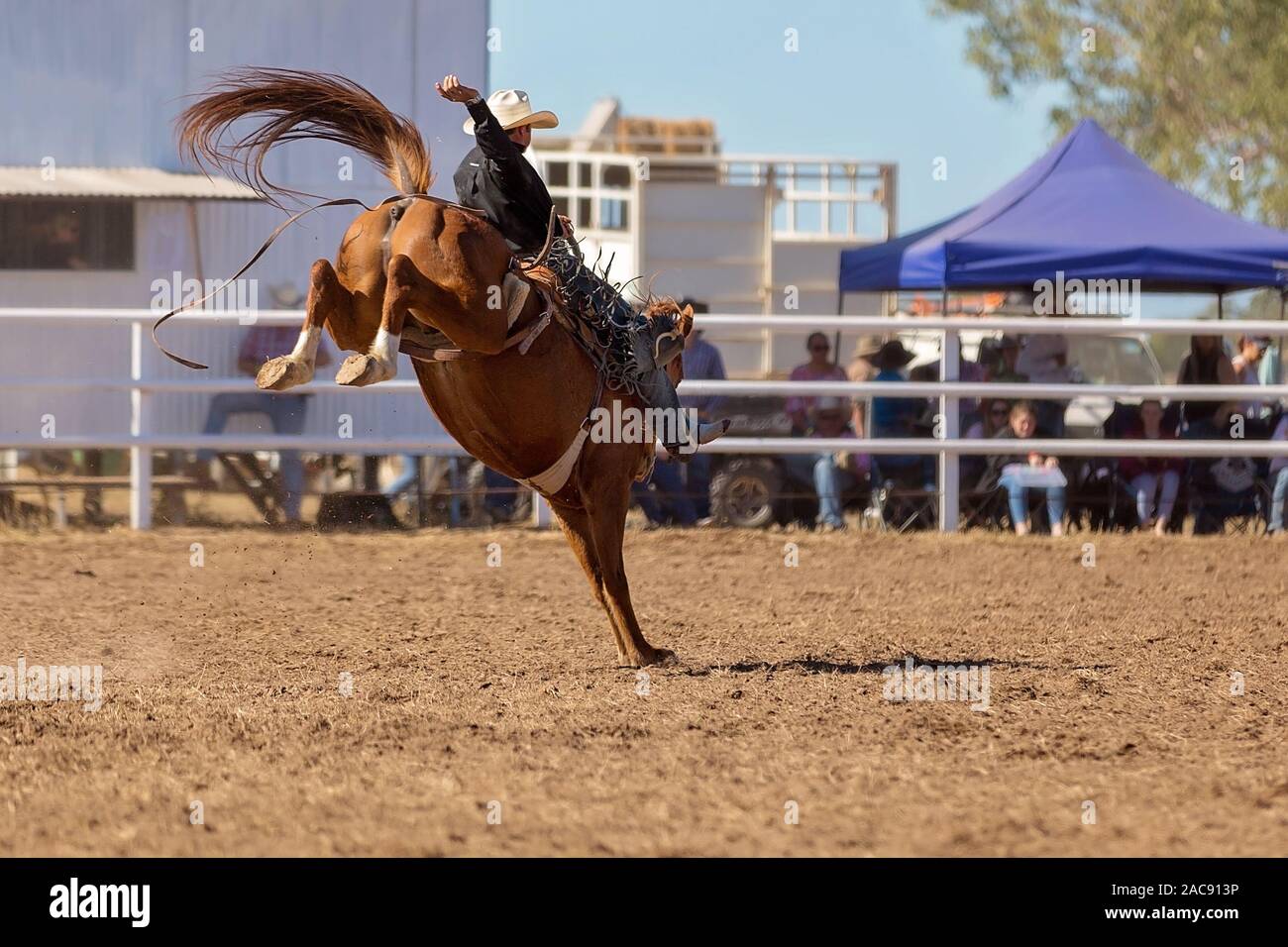 Cowboy riding a bucking bronco horse in a competition at a country ...
