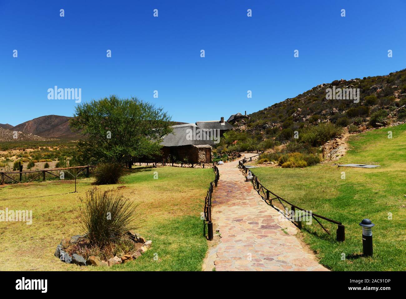 The Aquila game reserve, western cape, South Africa Stock Photo - Alamy