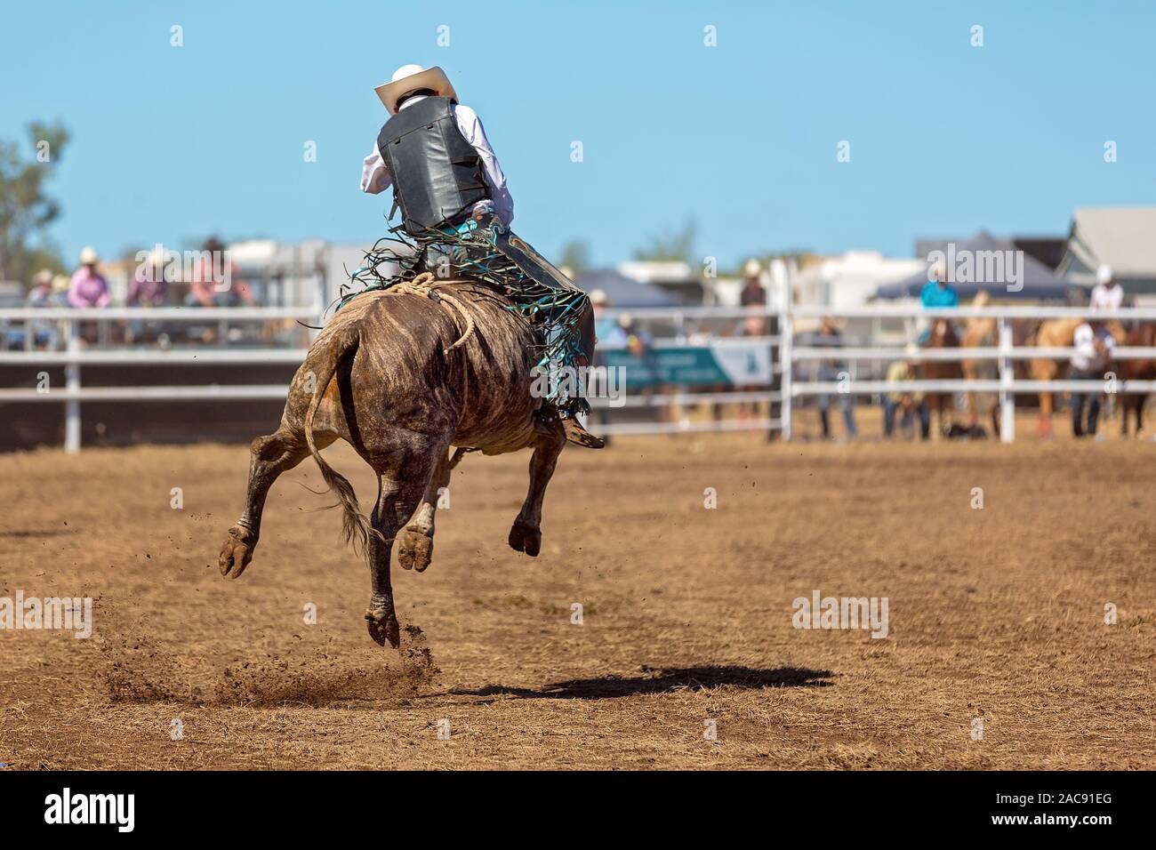Cowboy rodeo bucking bull australia hi-res stock photography and images ...