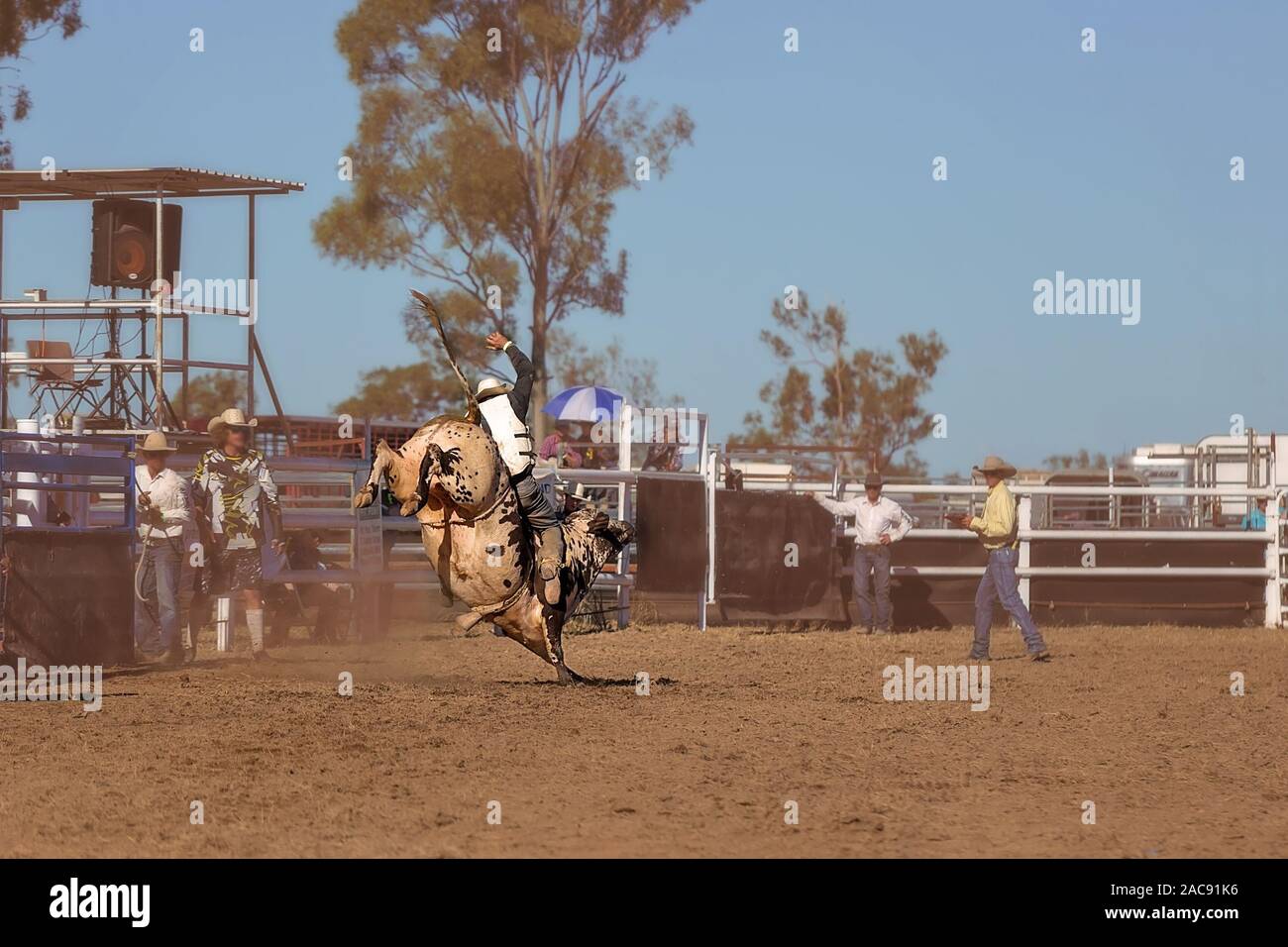 A cowboy competing in a bull riding event at an Australian country ...