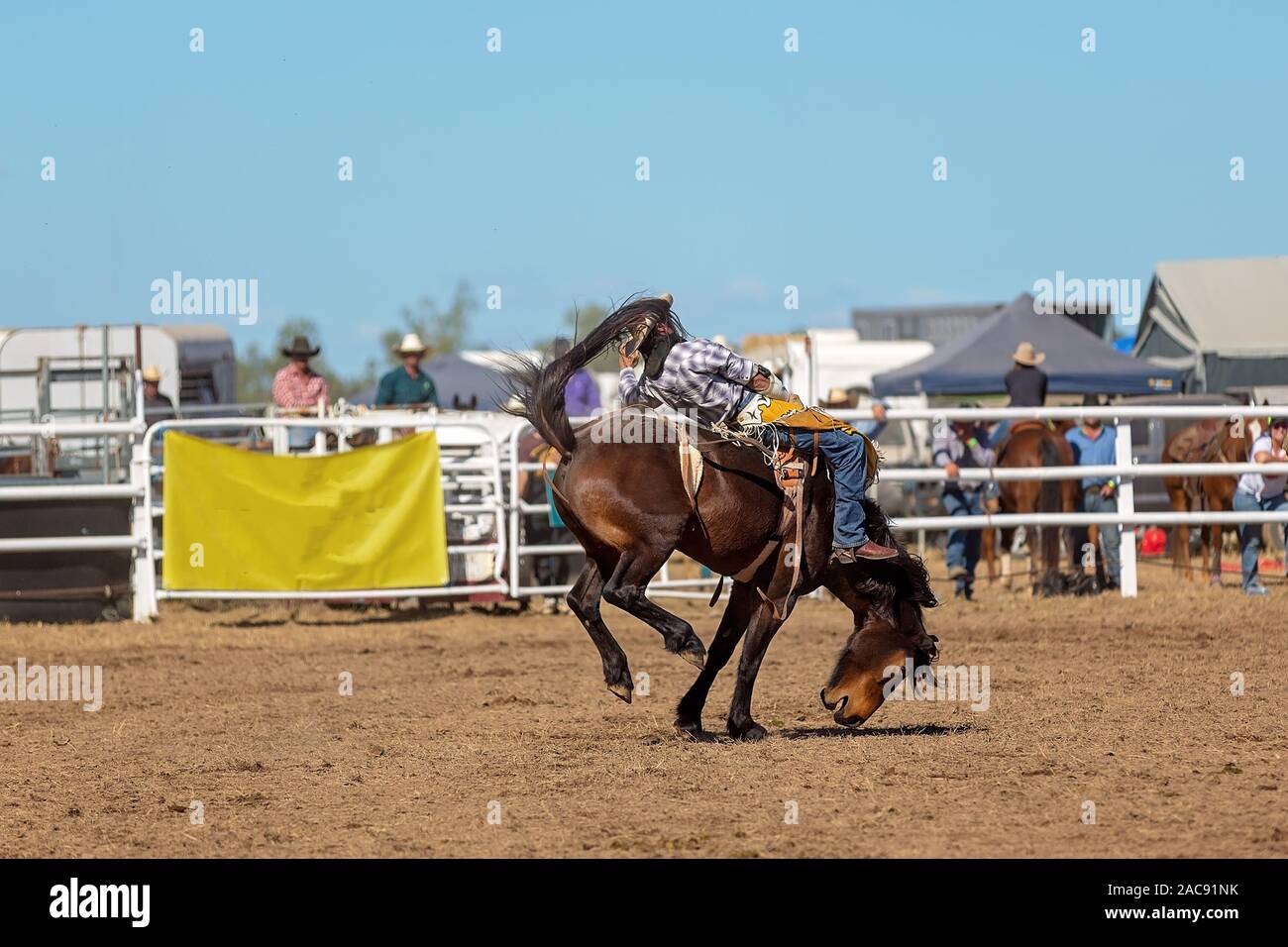Cowboy riding a bucking bronco horse in a competition at a country ...