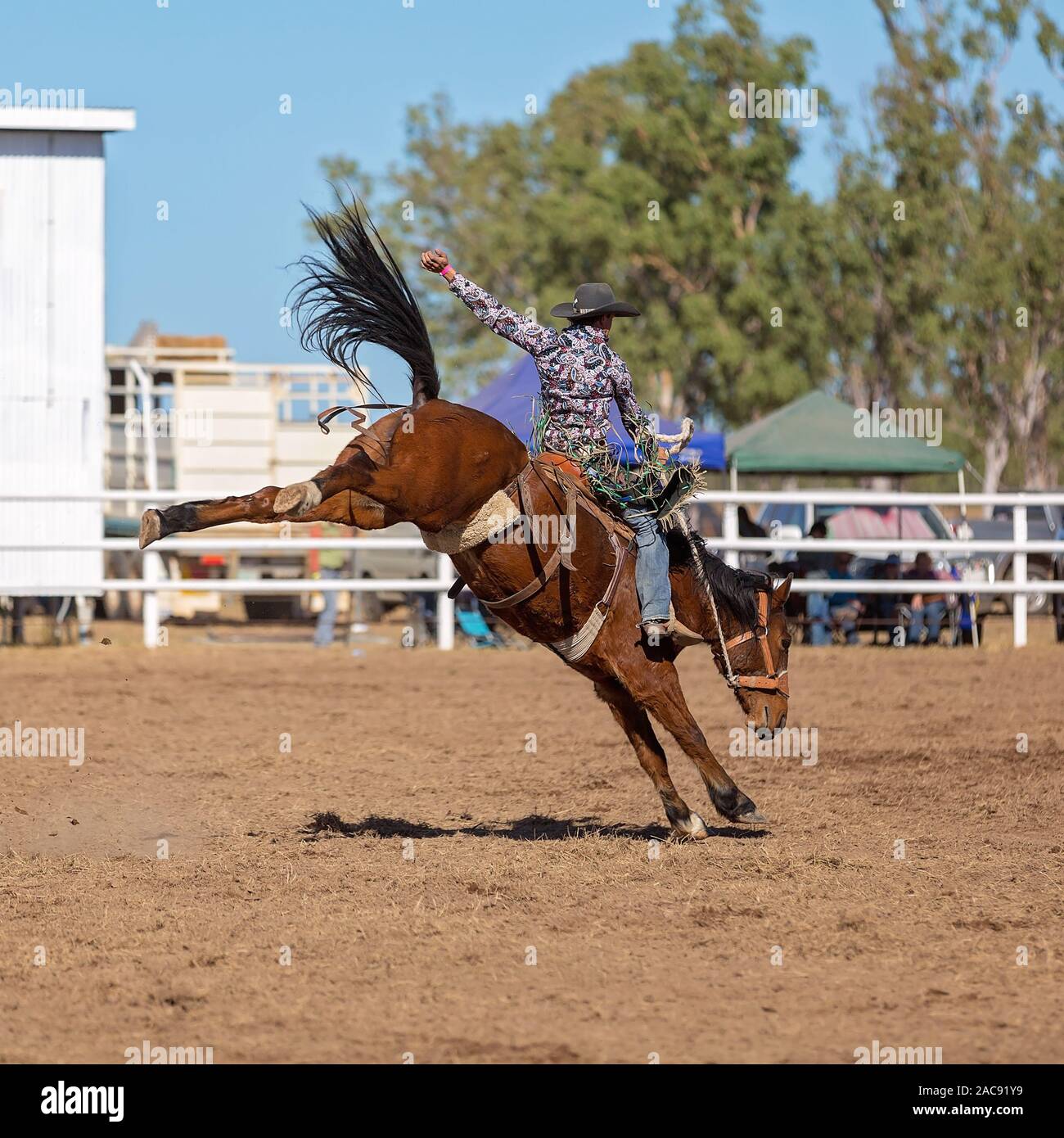 Cowboy riding a bucking bronco horse in a competition at a country ...