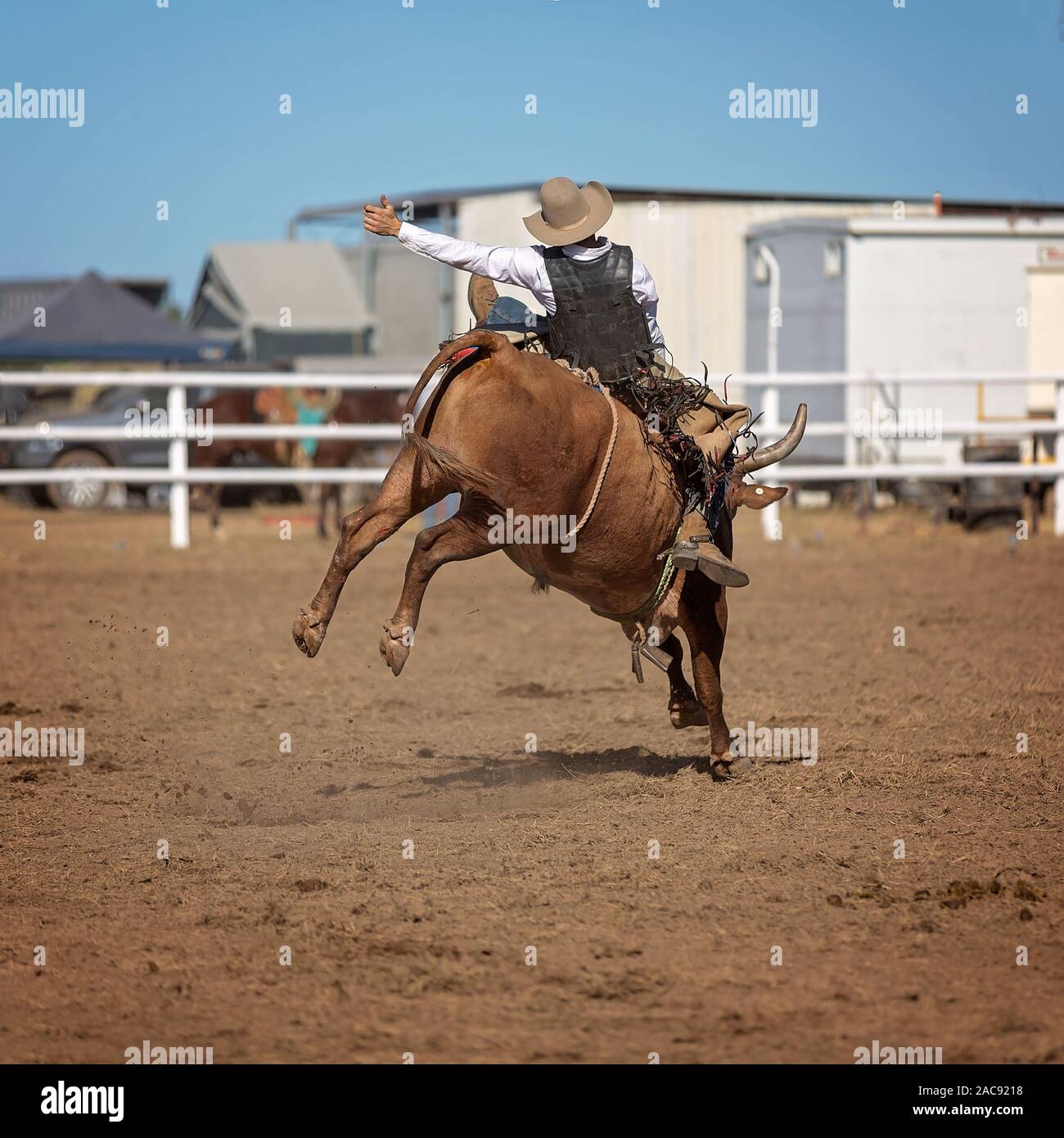 Cowboy riding a bucking bull in a competition at a country rodeo Stock ...