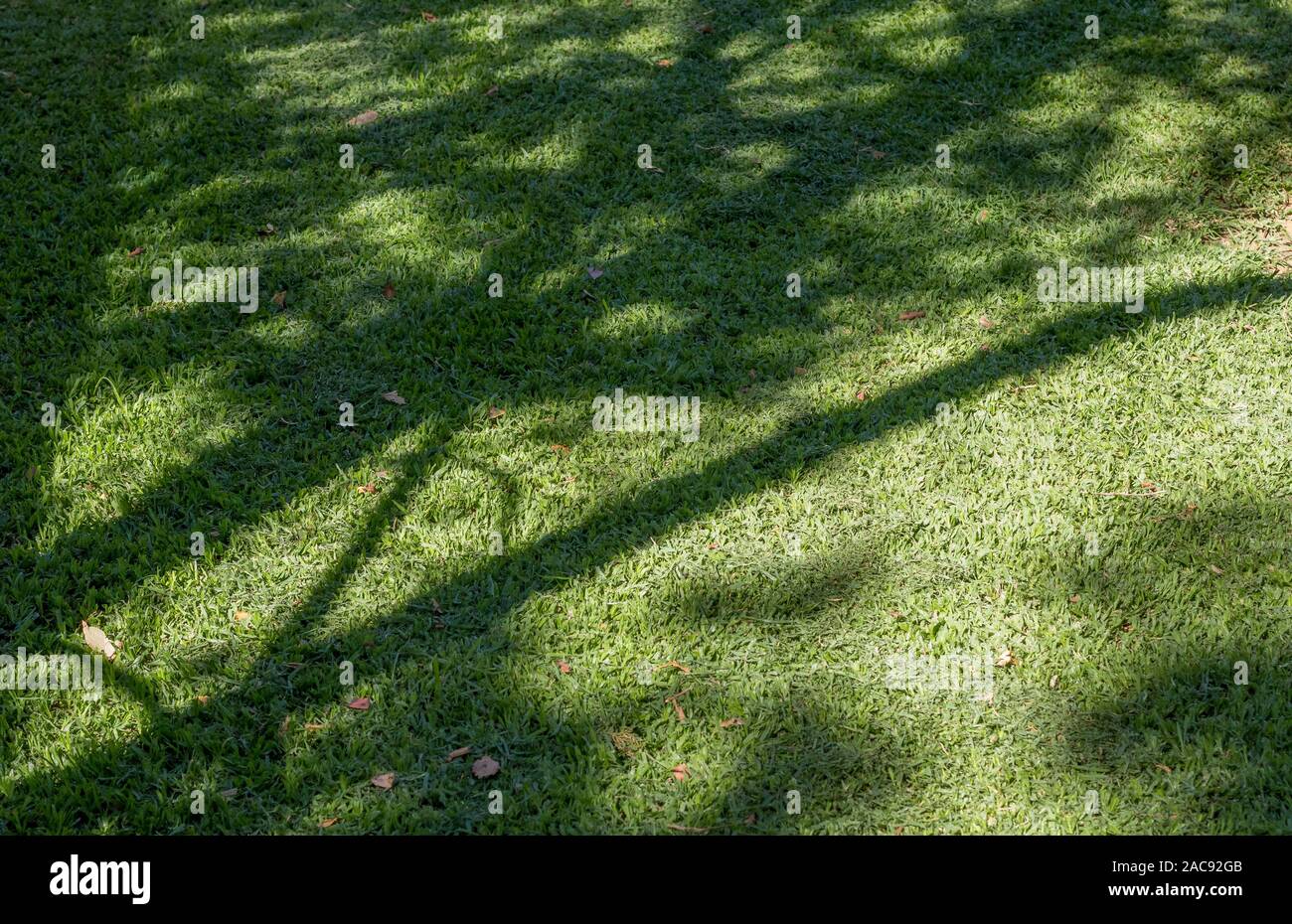 Grass shadow patterns hi-res stock photography and images - Alamy