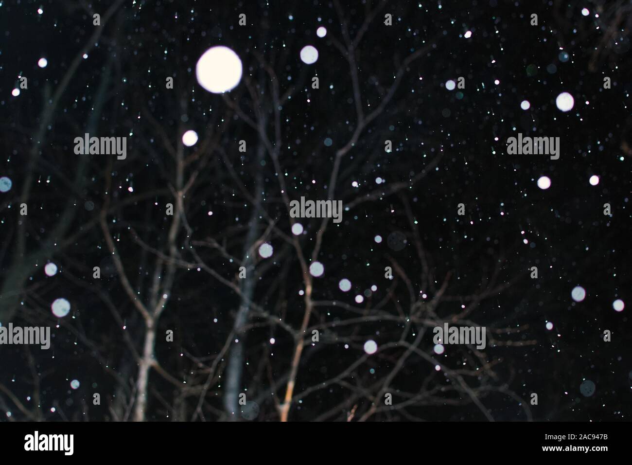 falling snow at night winter snow night trees Stock Photo - Alamy