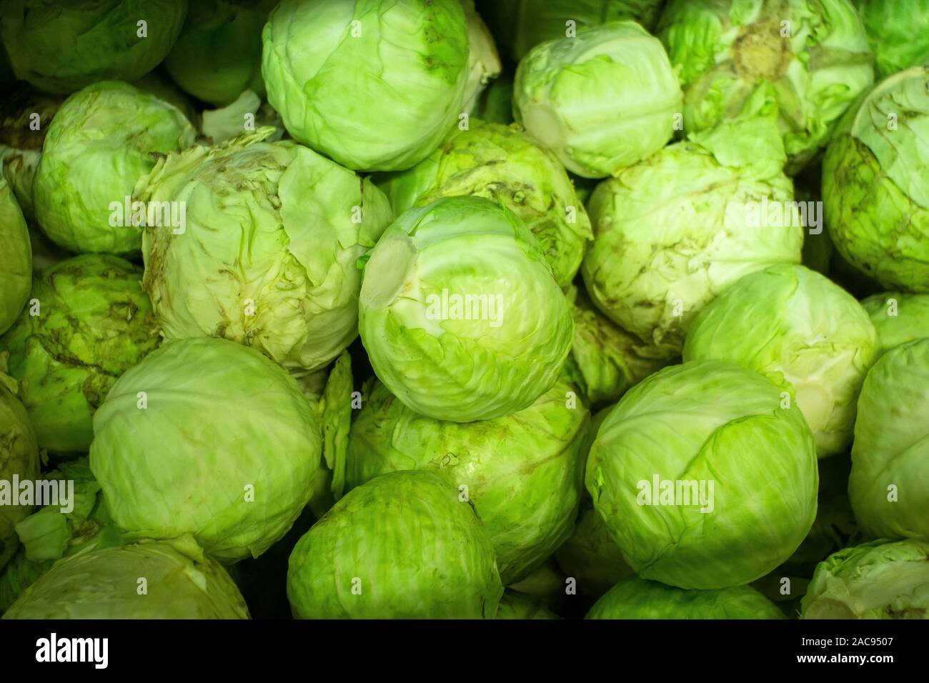 Group of green cabbages in a supermarket, Cabbage background, Fresh ...