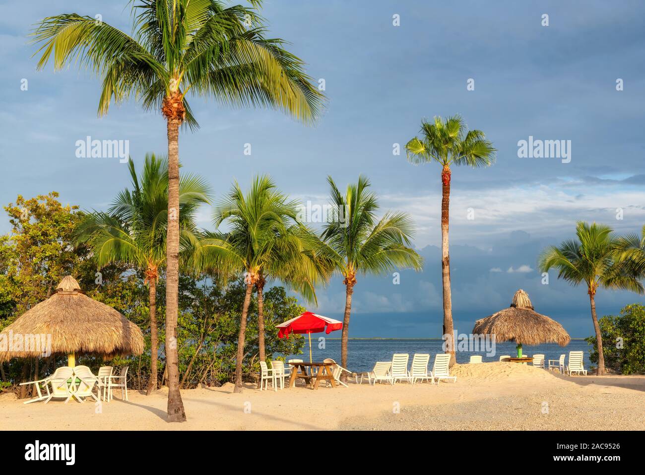 Florida beach with beach chair hi-res stock photography and images - Alamy
