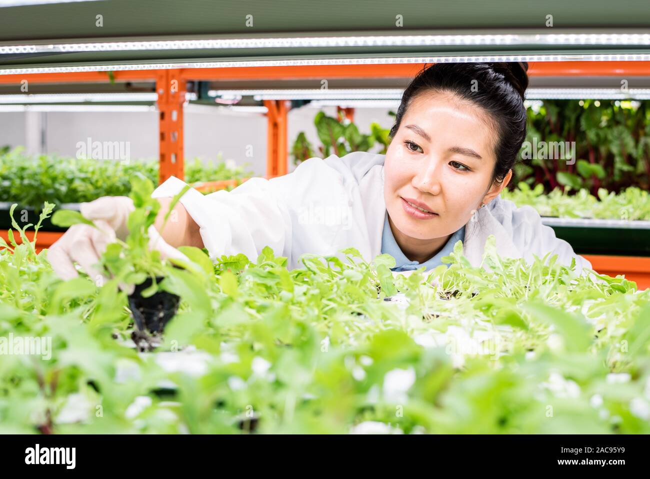 Portrait asian female biologist holding hi-res stock photography and ...