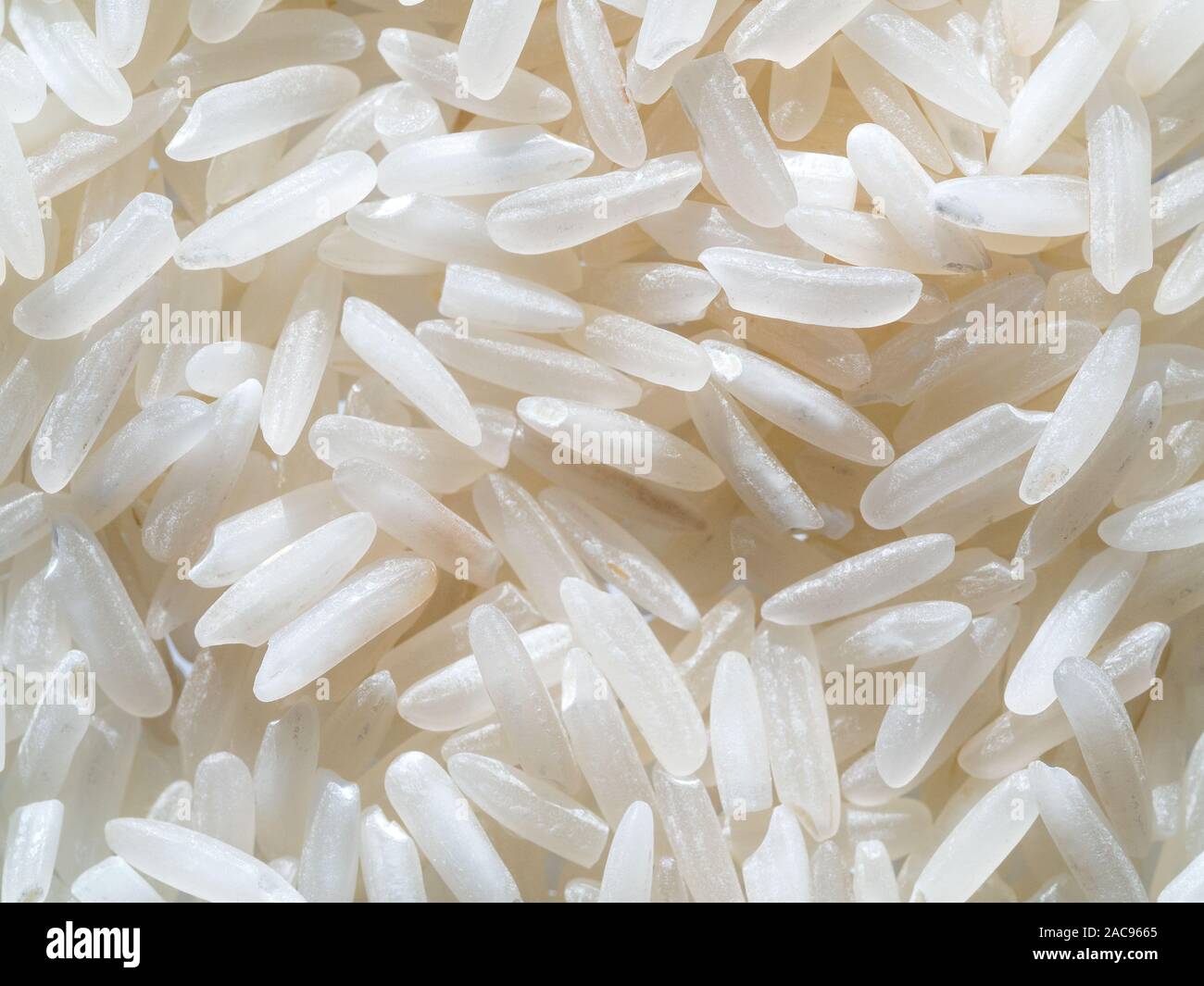 dry grain rice close-up, top view, macro photography Stock Photo - Alamy