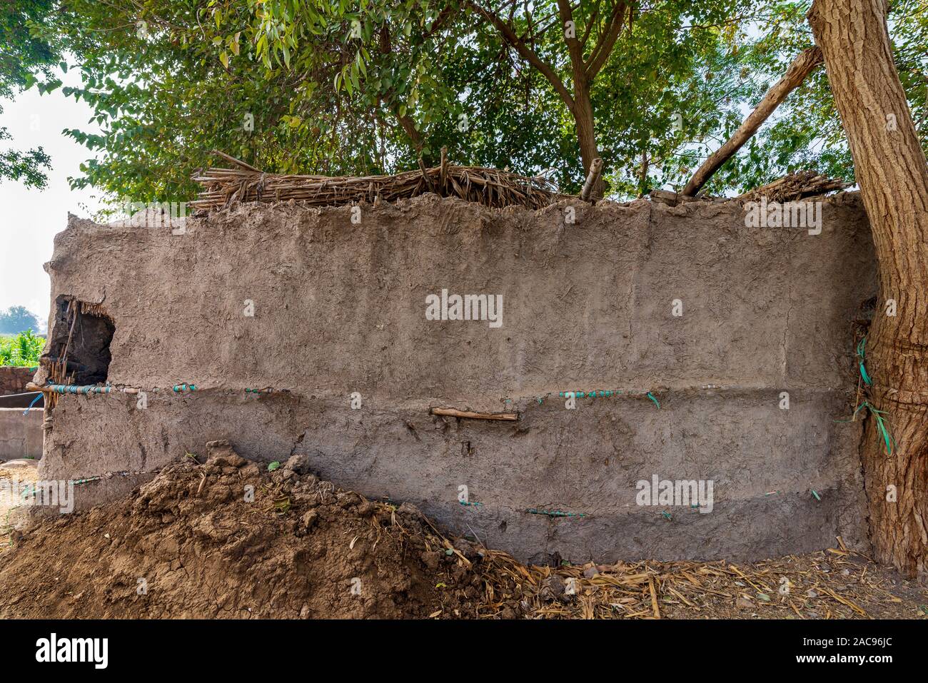 Exotic clay rocked building without windows with tropical green plants ...