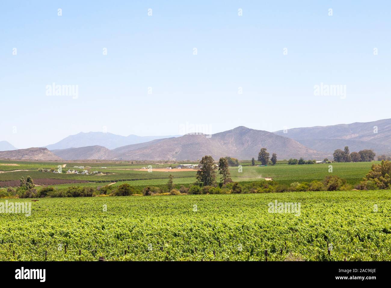 Breede river valley farmland hi-res stock photography and images - Alamy