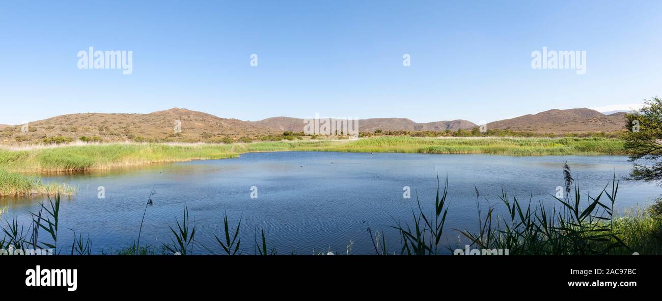 Panorama view of the dam and wetlands at Vrolijkheid Nature Reserve ...