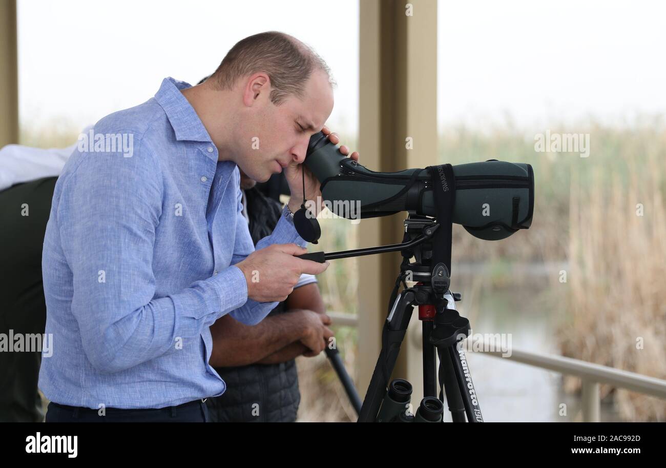 Kuwait citys wetlands jahra nature reserve hi-res stock photography and ...