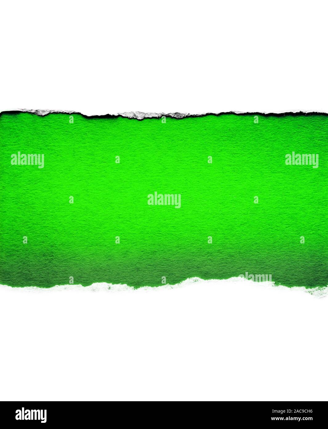 White Paper Tear Texture