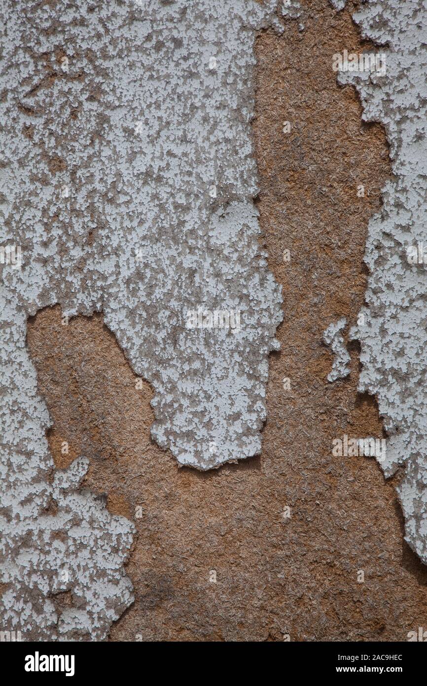 Particle decay hi-res stock photography and images - Alamy