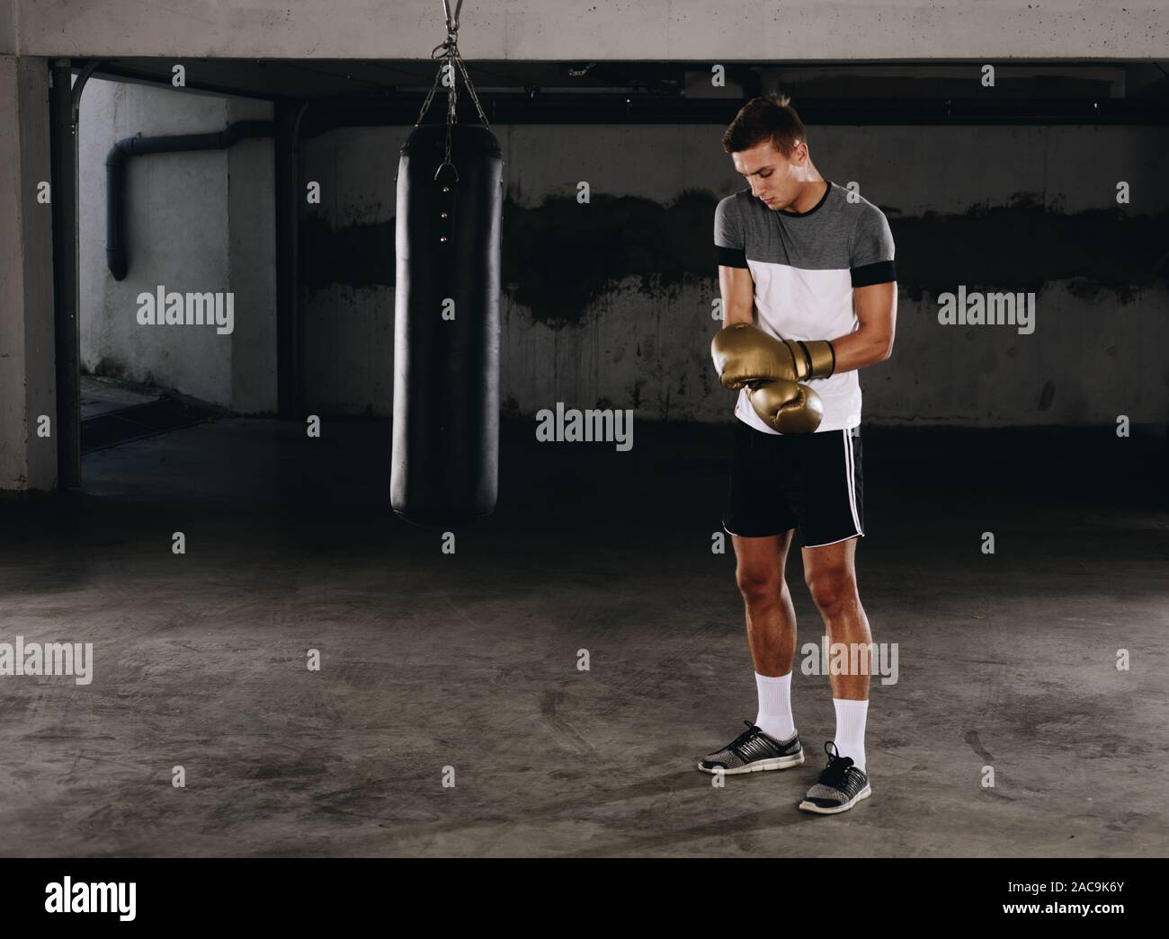 Young fighter prepare for boxing match while putting box gloves Stock ...