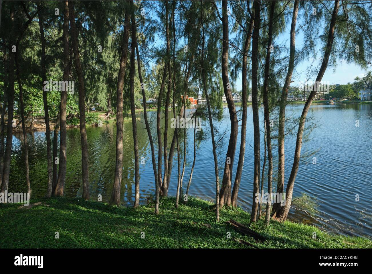 A tree-lined laguna in the Laguna area of Bang Tao, Phuket Thailand ...