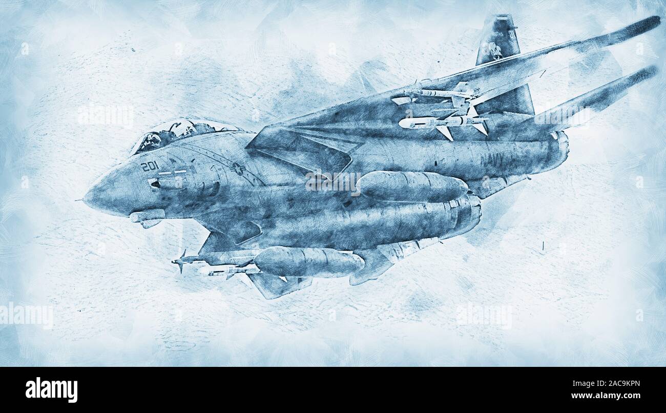 Tomcat Jet Fighter Planes