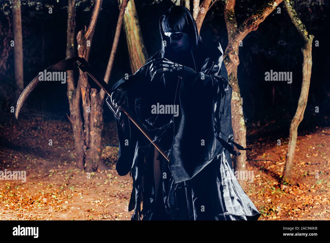 Grim Reaper standing in the fog at night with his scythe Stock Photo ...