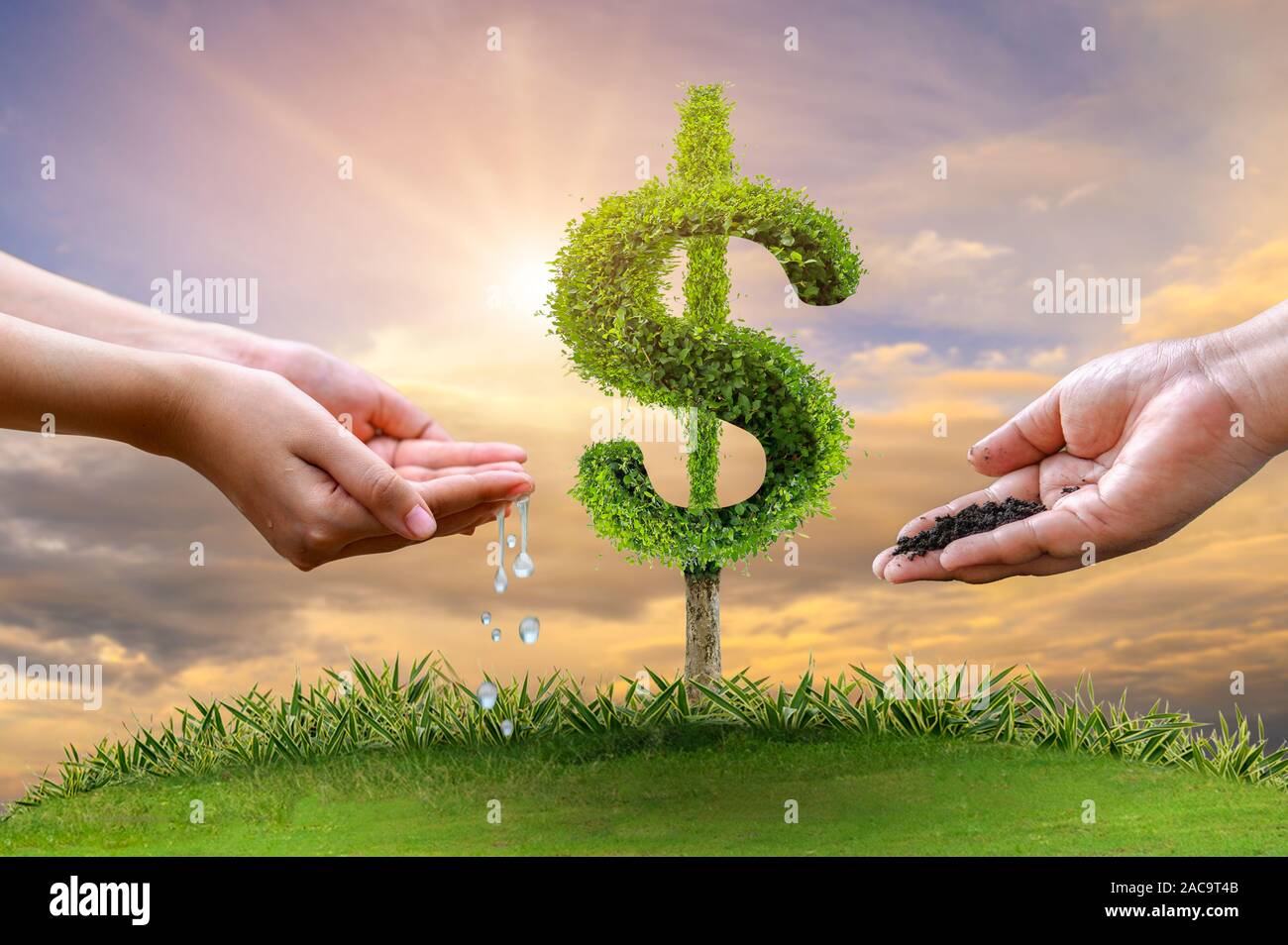 Money growth Saving money. Upper tree coins to shown concept of growing ...